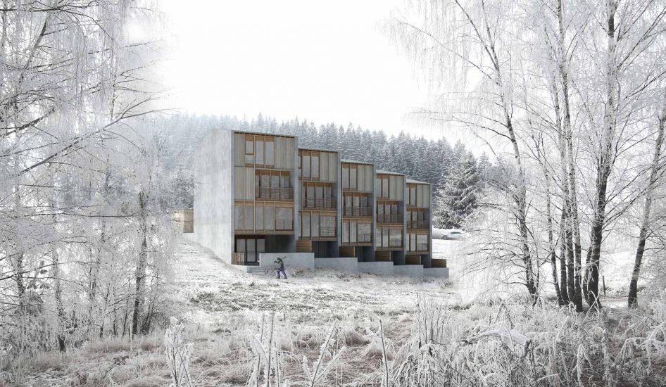 NY Ski Mountain Townhouses - Lief Windham Townhouses - Lang Architecture