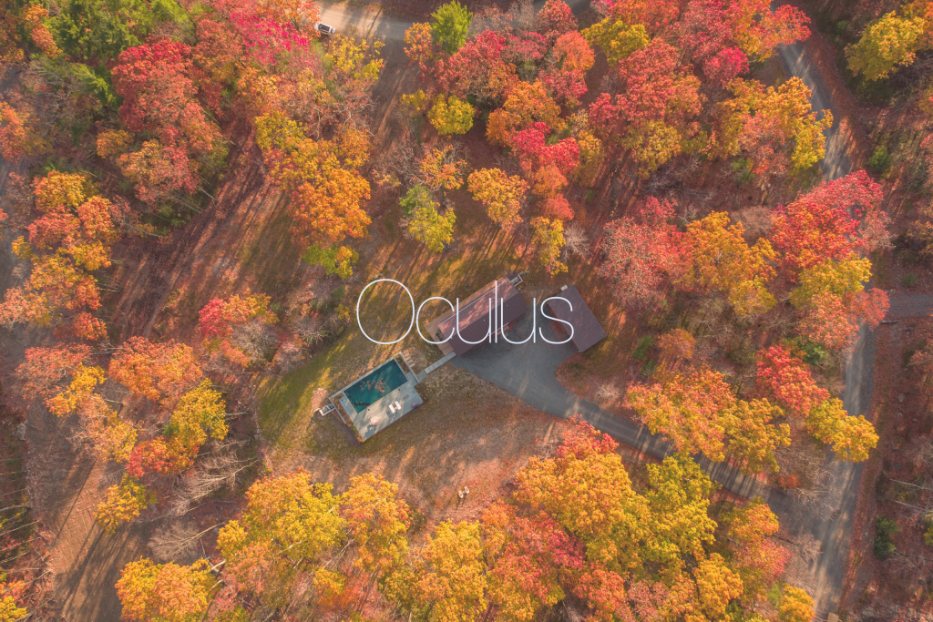 Oculus Op-Ed: Redefining Luxury: Living with Nature by Drew Lang, AIA ...