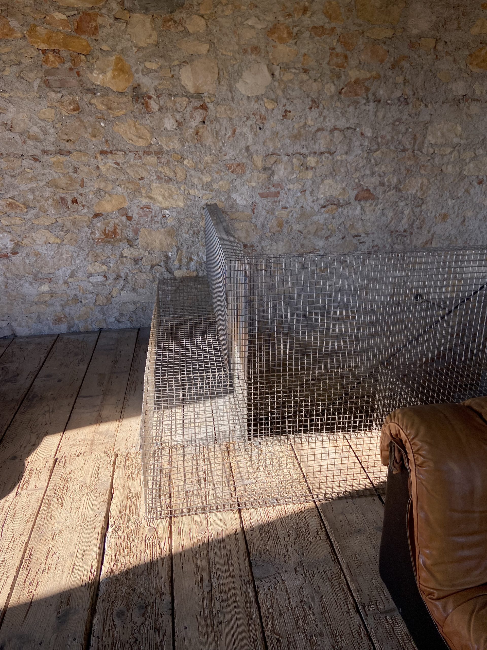 Emma Raible - Member Story - Lang Architecture